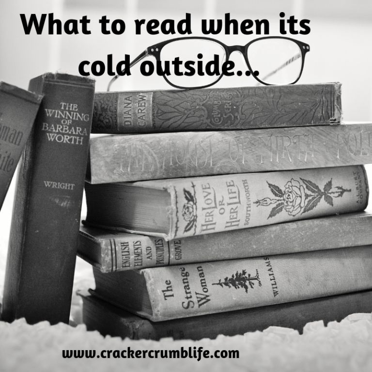 Brr!! Books to Read When It’s Cold Outside – Still Life, With Cracker ...