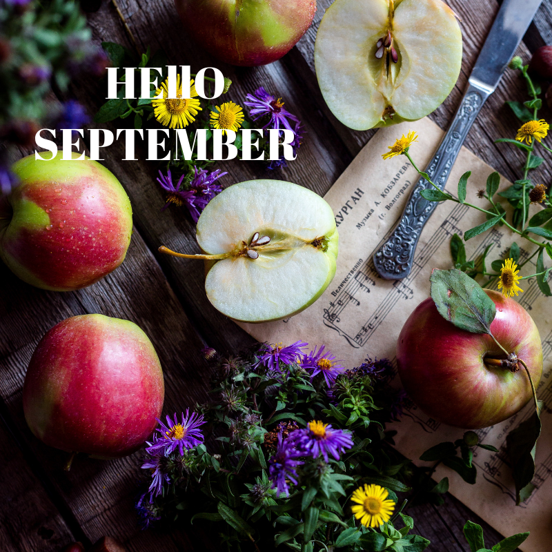 Hello, September! – Still Life, With Cracker Crumbs..