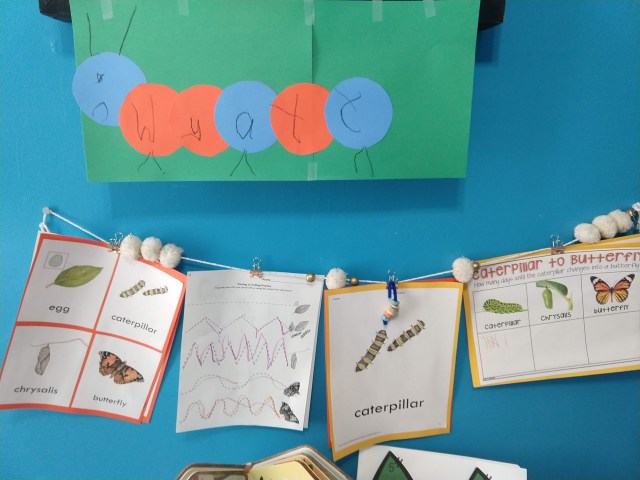 Homeschool Week 3: Caterpillars – Still Life, With Cracker Crumbs..