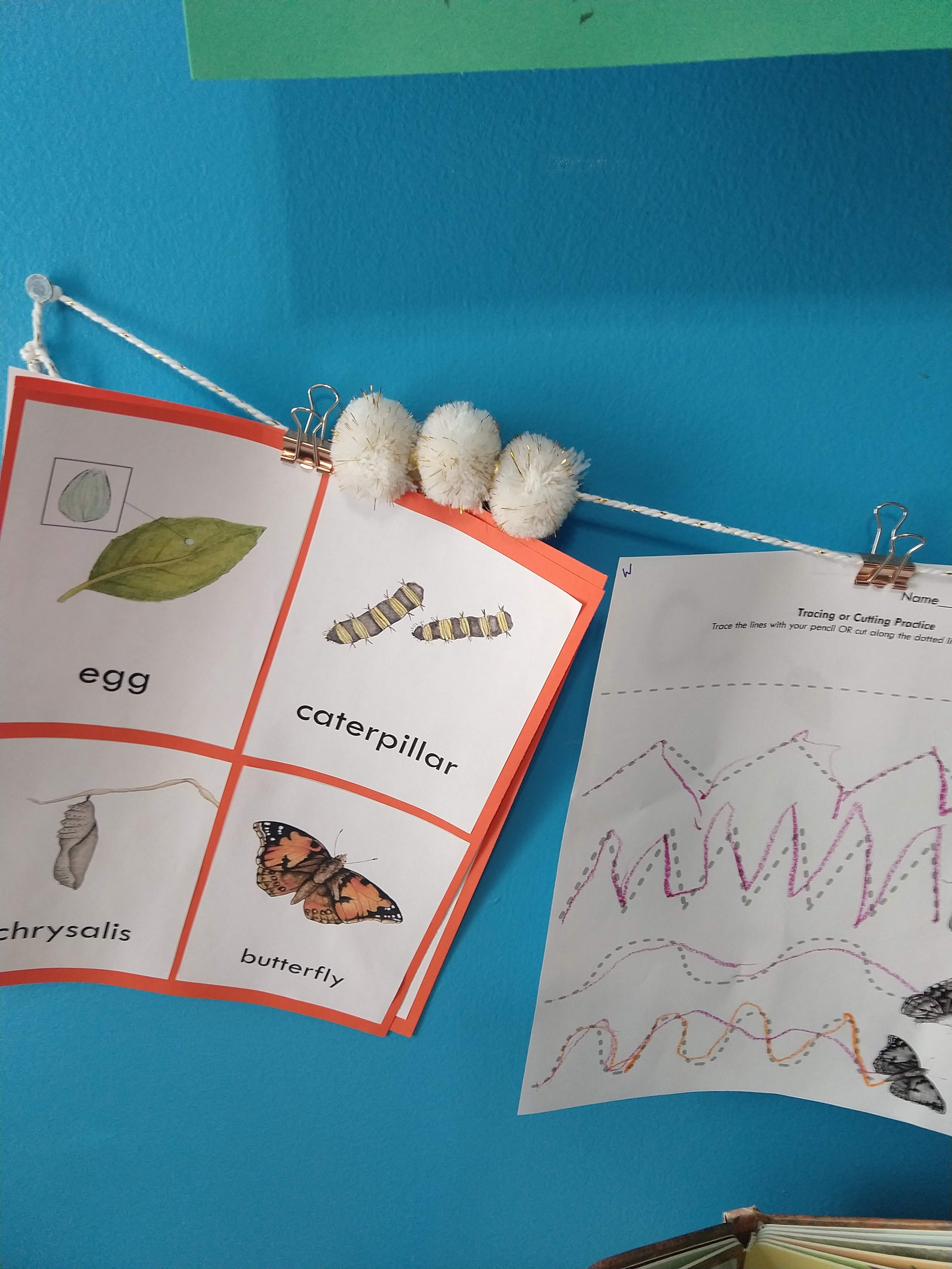 Homeschool Week 3: Caterpillars – Still Life, With Cracker Crumbs..