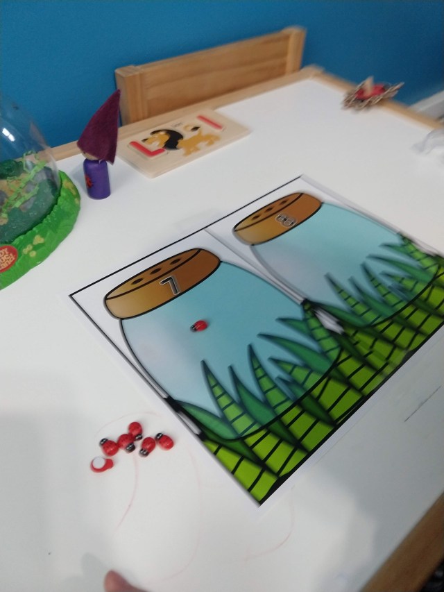 Homeschooling: Ladybug Week! – Still Life, With Cracker Crumbs..