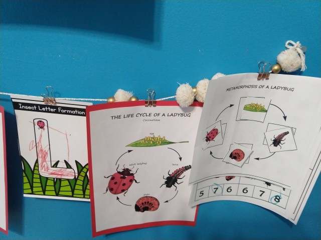 Homeschooling: Ladybug Week! – Still Life, With Cracker Crumbs..