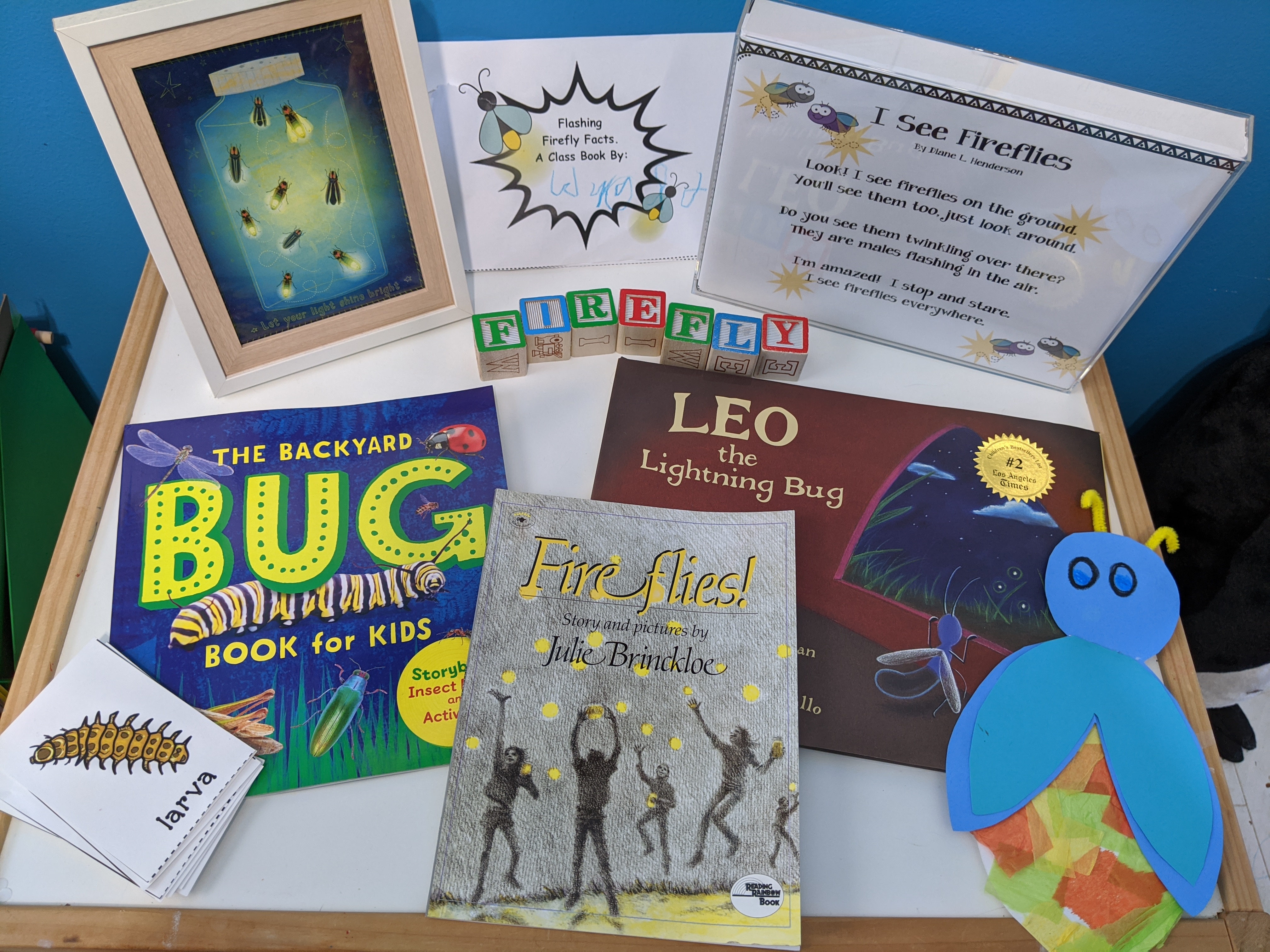 Homeschool, Summer Edition: Birds and Fireflies – Still Life, With ...