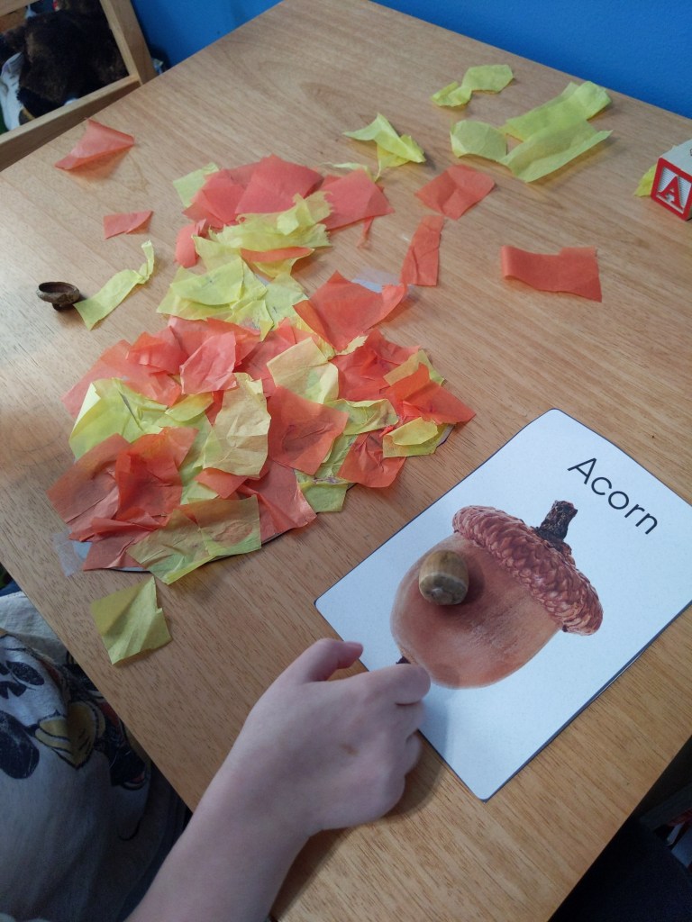 Homeschooling: Acorns and Squirrels! – Still Life, With Cracker Crumbs..