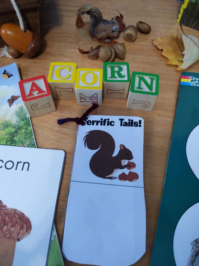 Homeschooling: Acorns and Squirrels! – Still Life, With Cracker Crumbs..