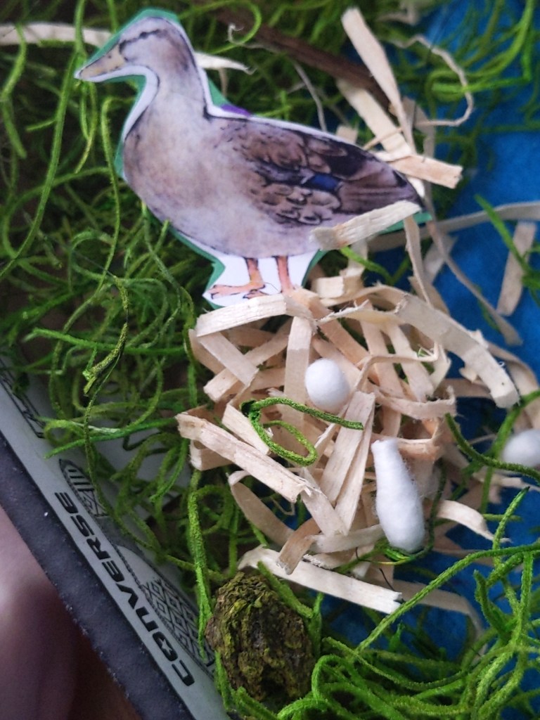 Homeschool: Duck Week! – Still Life, With Cracker Crumbs..