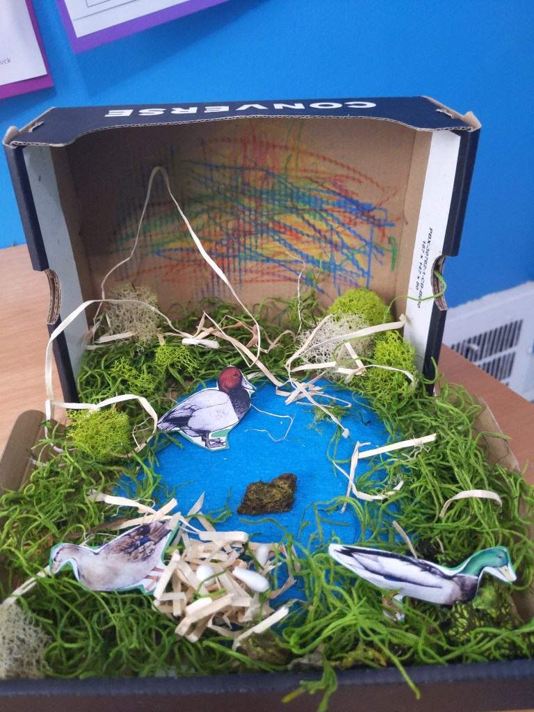 Homeschool: Duck Week! – Still Life, With Cracker Crumbs..