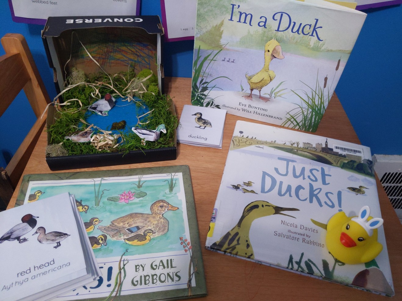 Homeschool: Duck Week! – Still Life, With Cracker Crumbs..