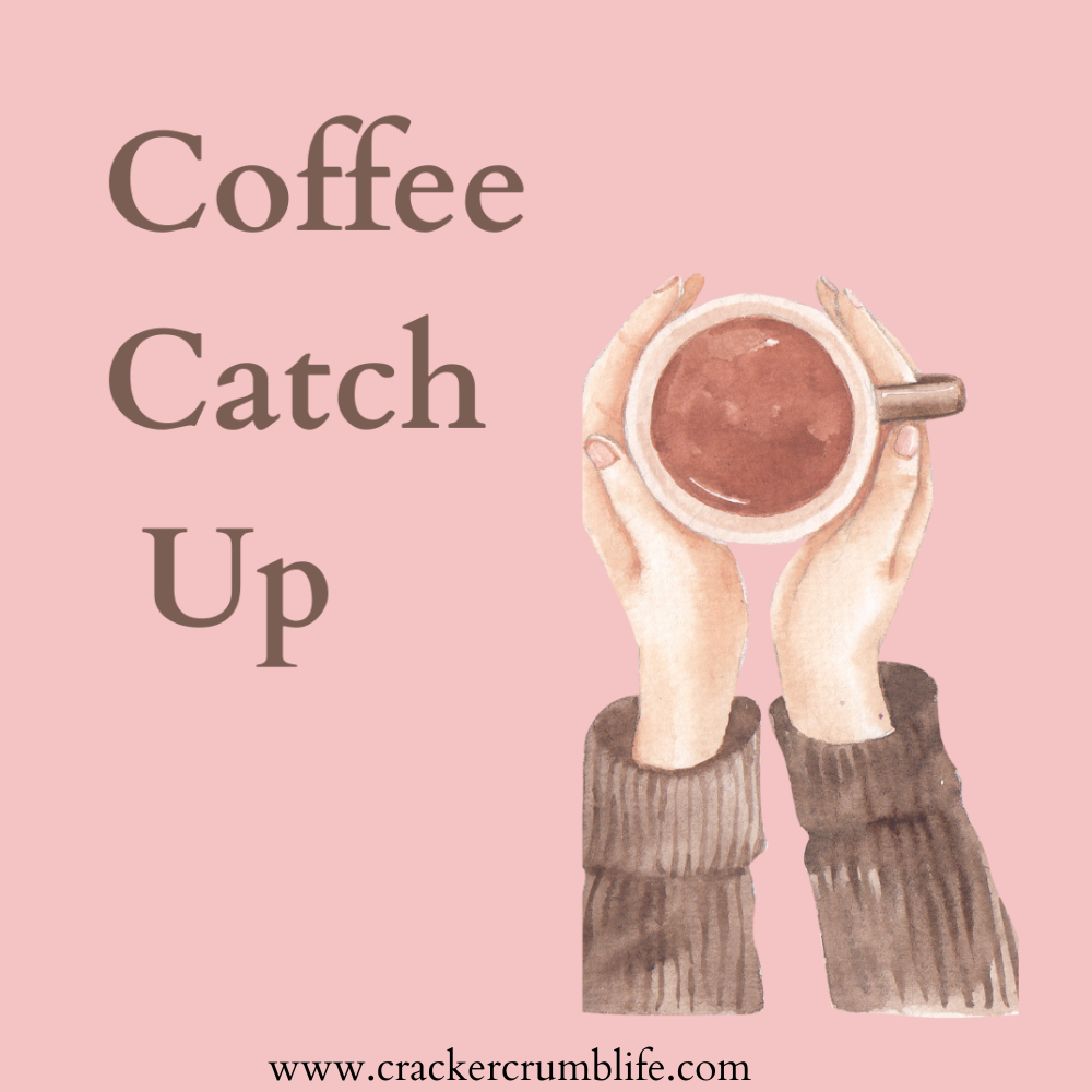 Wednesday ( I think) Coffee Catch Up- Part 2 – Still Life, With Cracker ...